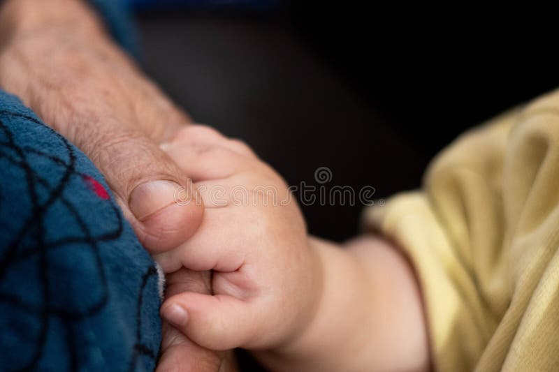 Tender Connection between Generations in a Touch Stock Photo - Image of ...
