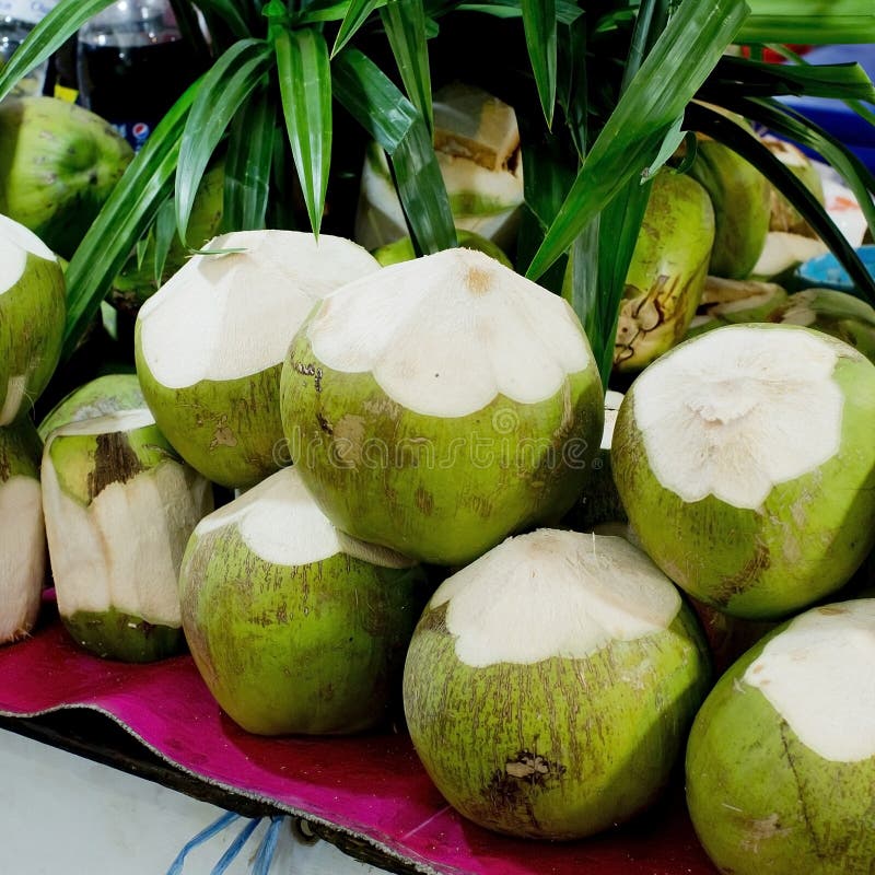 Tender and Fresh Coconut in Market Stock Photo - Image of milk, cocoa ...