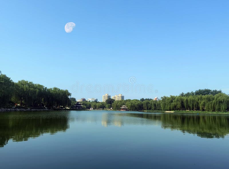 Charming Scenery in the Suburbs in Early Summer Stock Photo - Image of ...