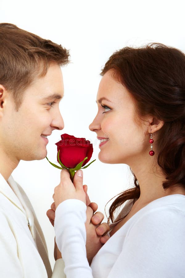 Tender love stock image. Image of affectionate, handsome - 25673245