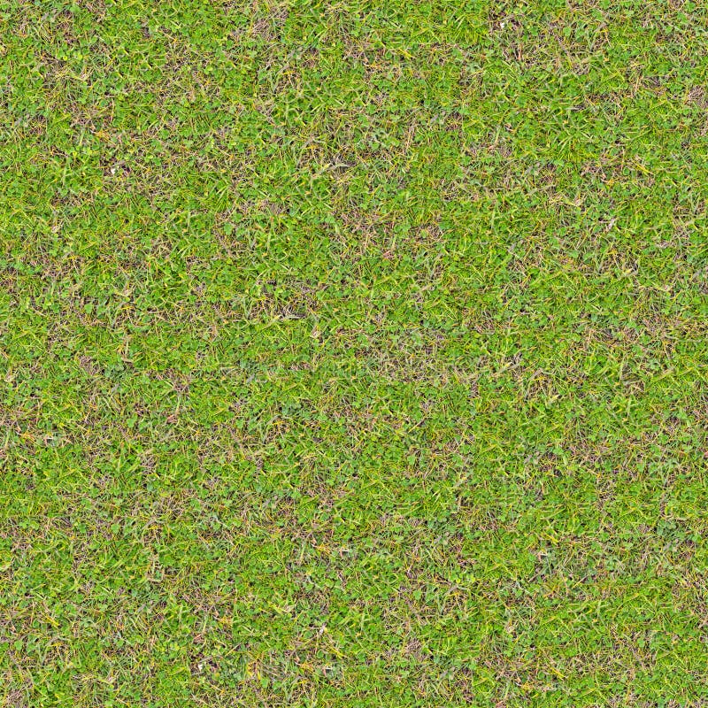 Tender Spring Grass. Seamless TileableTexture. Stock Photo - Image of ...