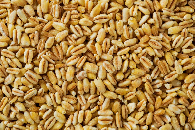 Wheat kernels stock image. Image of yellow, background - 12584235