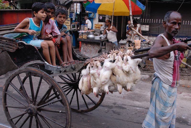 Camion decorato del carico immagine editoriale. Immagine di camion ...