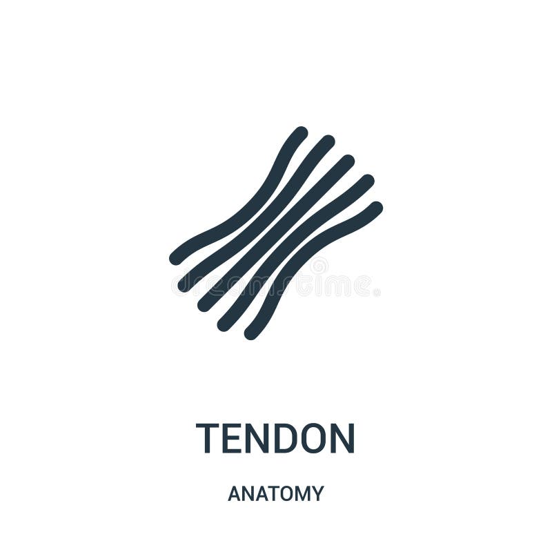 Tendon Icon Outline Stock Illustrations – 391 Tendon Icon Outline Stock ...