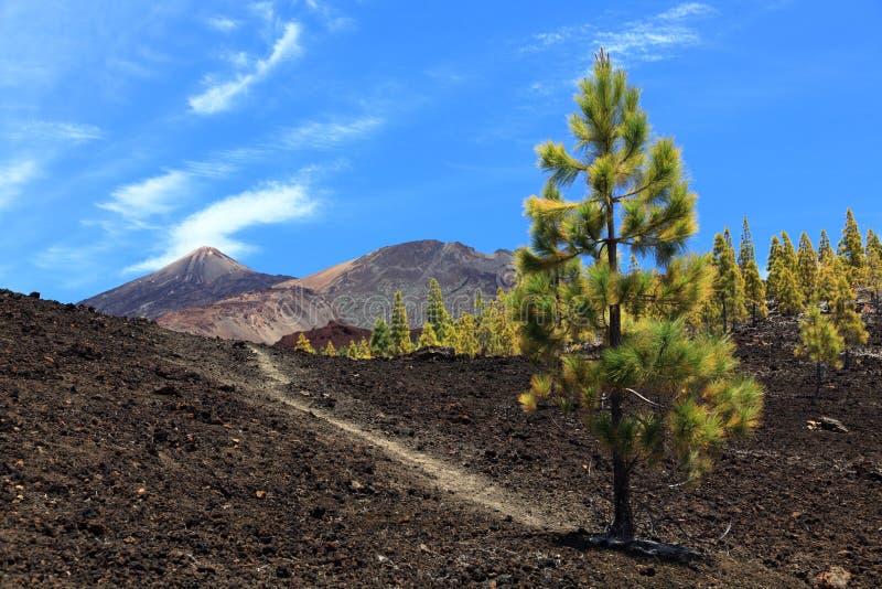 Tenerife Volcano Teide Landscape Stock Image - Image of national ...