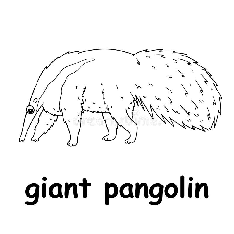 Kids Line Illustration Coloring Giant Pangolin. Animal are Just Lines ...