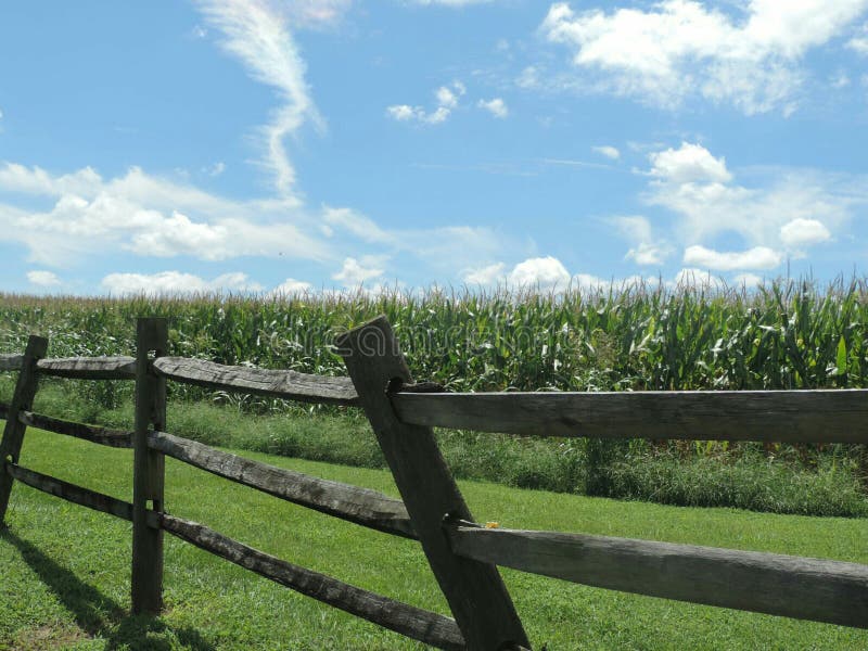 Tennessee Corn Fields Encircled by Rustic Fence an Blue Stock Image ...