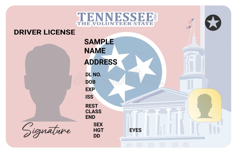 Tennessee Driver License Isolated on White Background. Person Driver ...