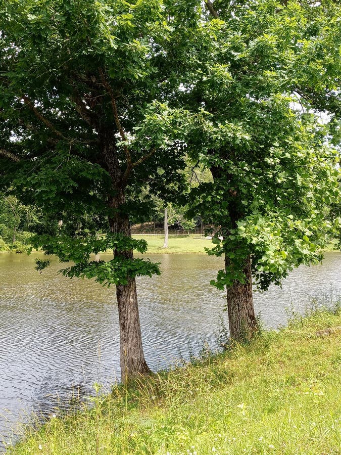 Tennessee Water Mountain Nature Best Stock Image - Image of water ...