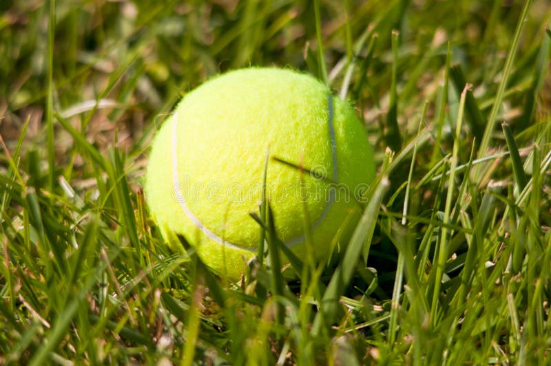 Tennis Ball stock photo. Image of competitive, curve - 21240102