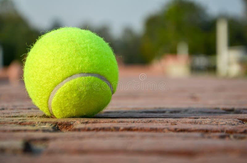 Tennis Ball Closeup on Ground Stock Photo - Image of recreation, white ...