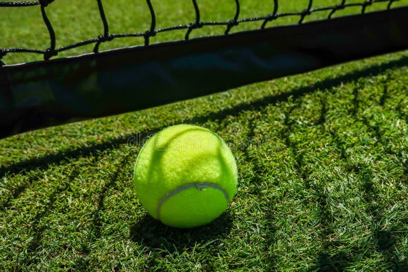 Tennis ball on grass court stock image. Image of close - 222023913