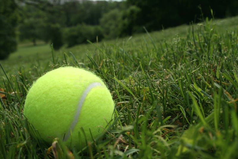 Tennis ball on the grass stock photo. Image of round - 32189966