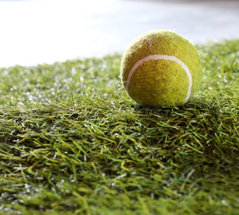 Tennis Ball on a Grass Patch Stock Photo - Image of playfull, bright ...
