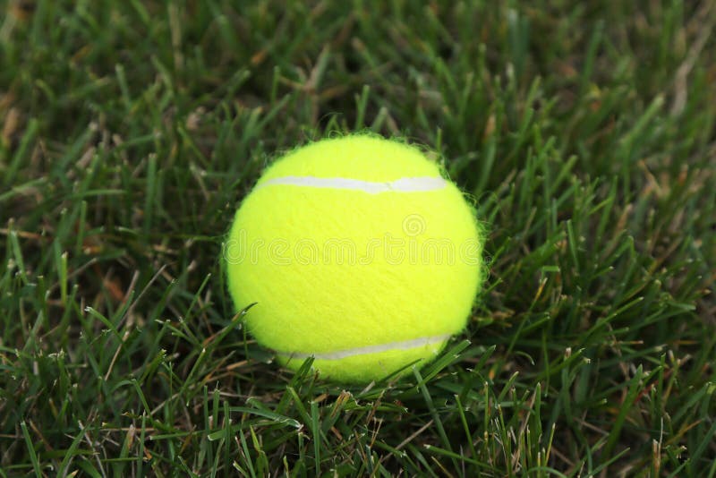 Tennis Ball on Grass Tennis Court Stock Photo - Image of athletic ...