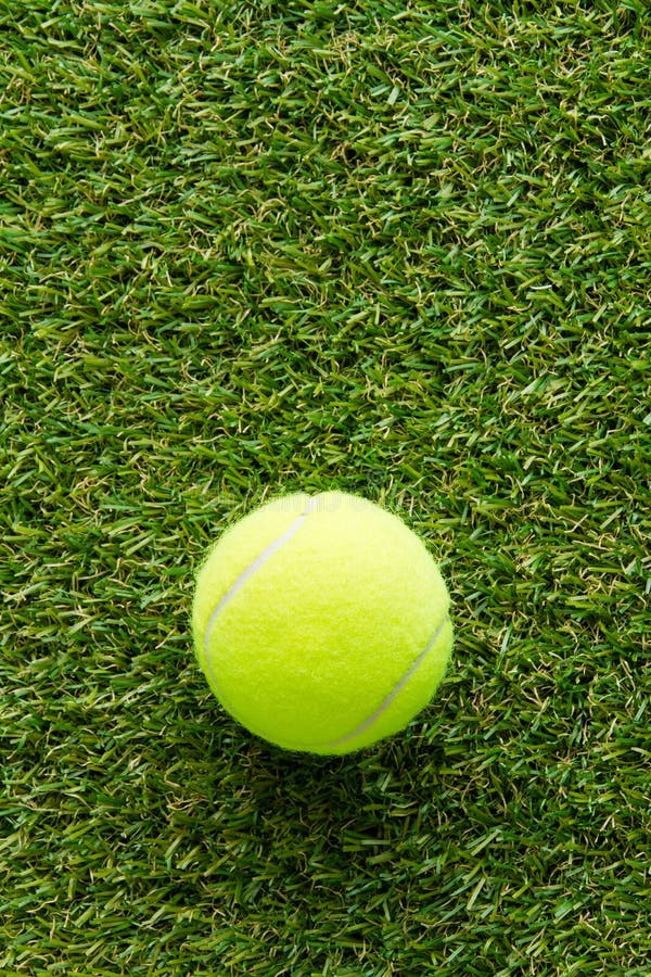 Tennis ball on the lawn stock photo. Image of exercise - 60012394