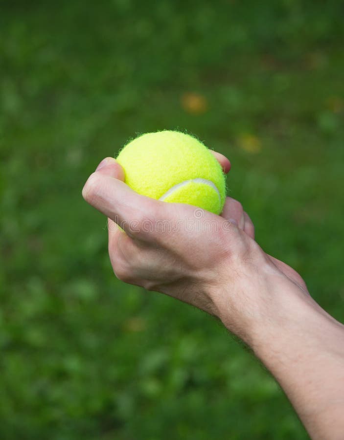Tennis ball in man hand stock photo. Image of competition - 63966542