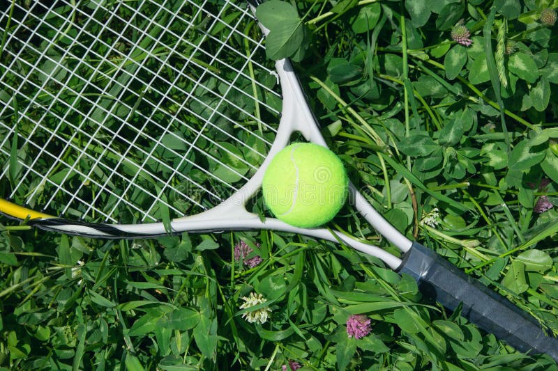 Tennis Ball and Racket on the Green Grass Background Stock Photo ...