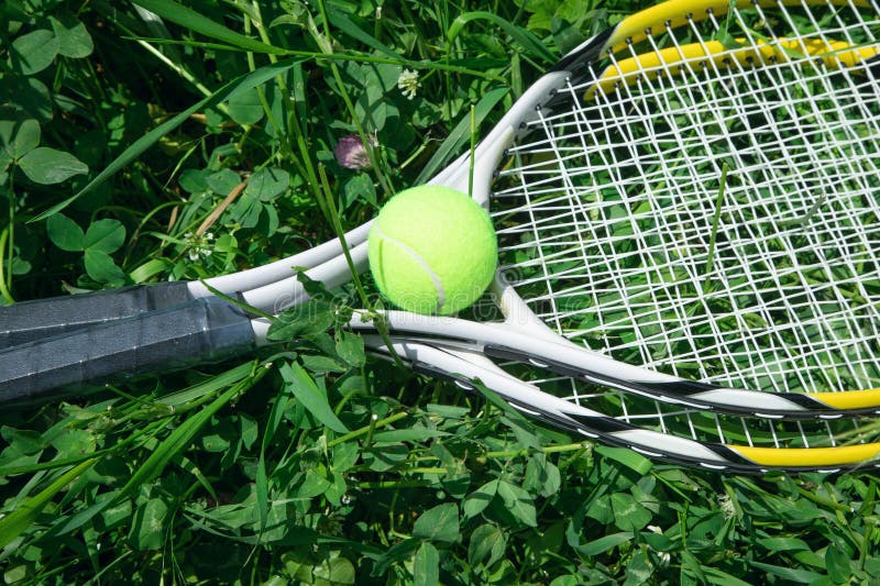 Tennis Ball and Racket on the Green Grass Background Stock Image ...