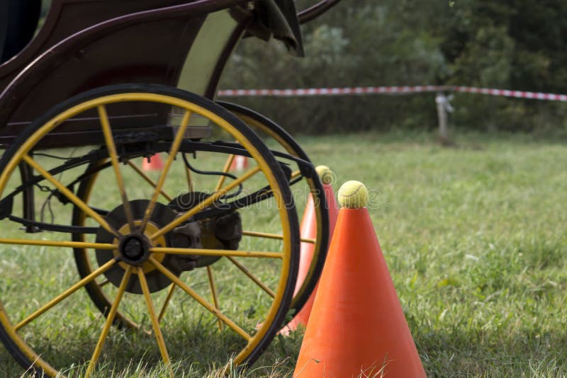 The tooth barrier stock image. Image of horse, mammal - 132102093