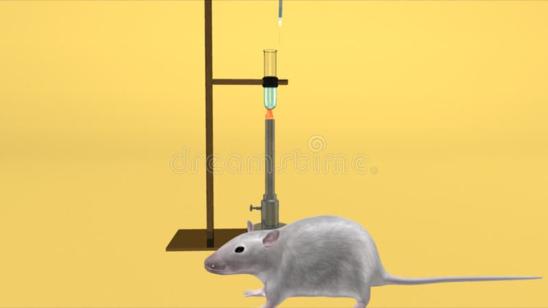 TENSIÓN DE S CALENTADA E INYECTADA a LOS RATONES VIVOS Metrajes - Vídeo ...