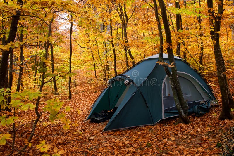 Tent in the autumn forest stock photo. Image of picnic - 21321790