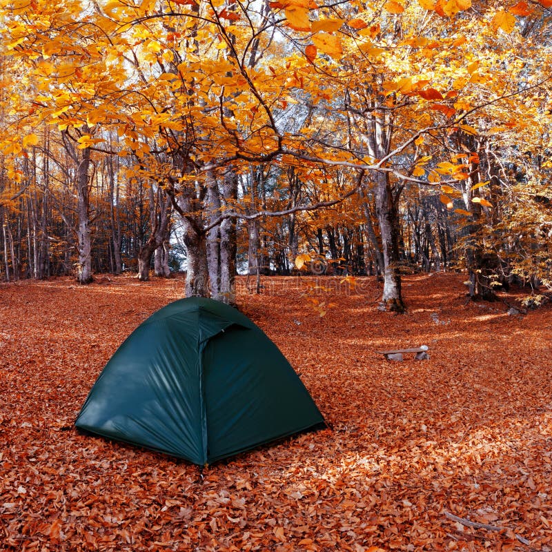 Red Tent in the Autumn Forest Stock Image - Image of park, recreation ...