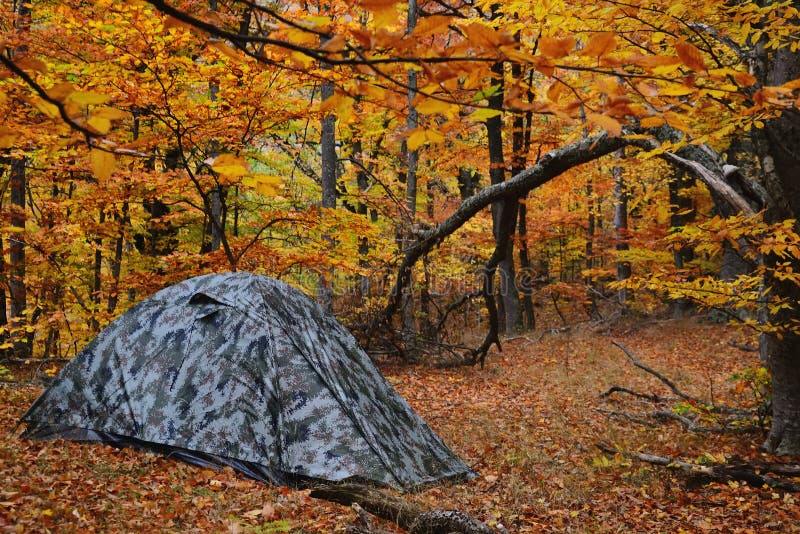 Tent in the autumn forest stock photo. Image of nature - 105072004