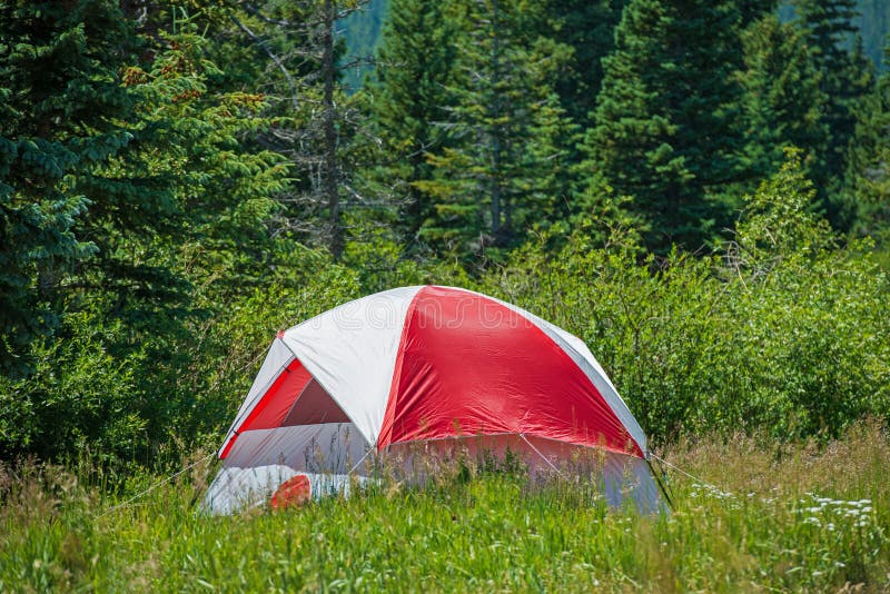Tent Camper Lake of Two Rivers Campground Algonquin National Park ...