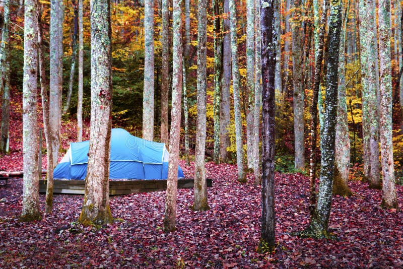 Tent Camping in Autumn Fall Forest Woods Stock Image - Image of outdoor ...