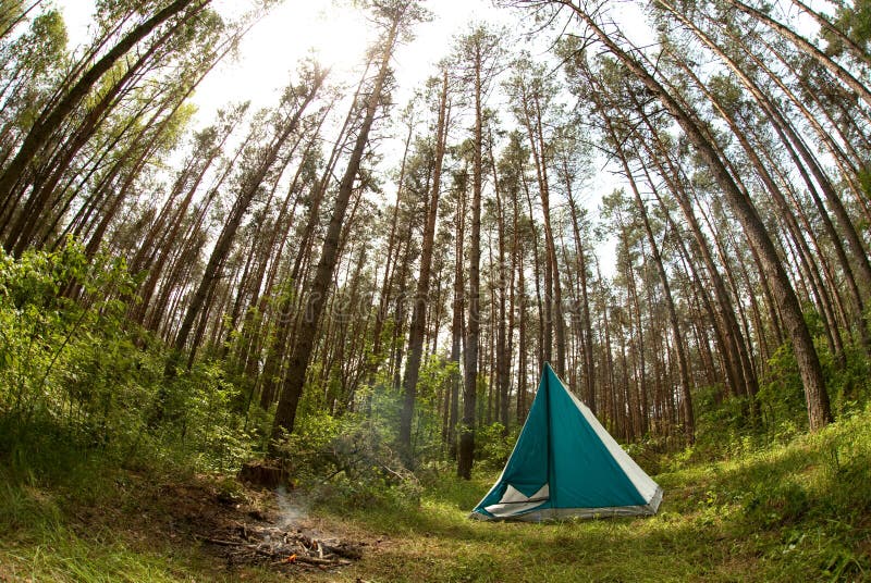 Tent in forest stock photo. Image of life, line, nature - 14697660