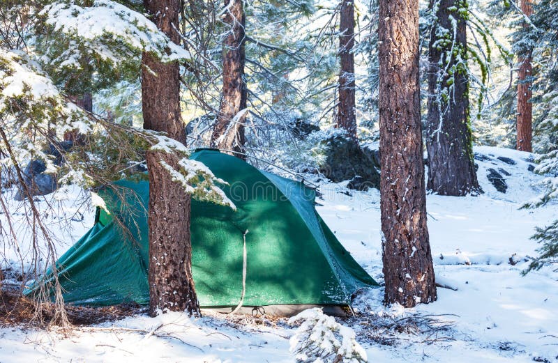 Tent in forest stock image. Image of park, hiking, holiday - 54191323