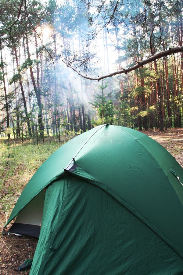 Tent in forest stock photo. Image of hiker, equipment - 6136192