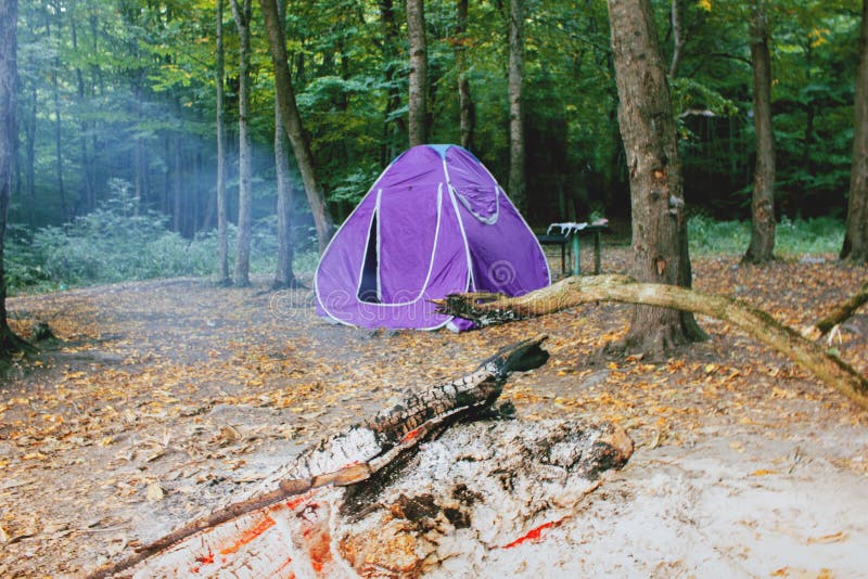 Tent in the Forest, Good Rest in the Forest Stock Image - Image of ...