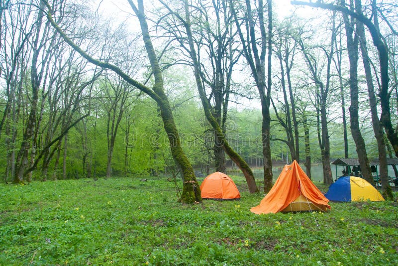 Tent in forest stock photo. Image of rural, hike, camp - 212682280