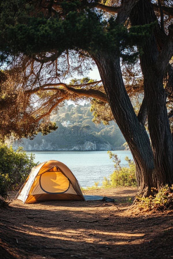 Tent in Tree Shade stock photo. Image of camping, bushes - 376945654