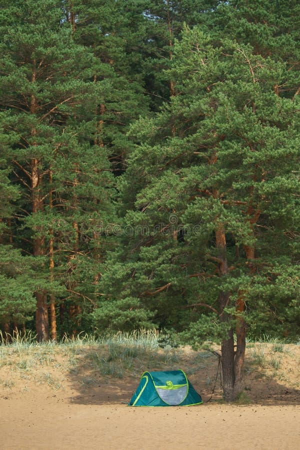 Tent Under a Tree on a Sandy Beach Stock Image - Image of camping ...