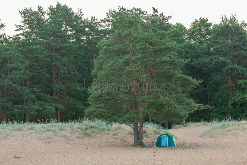 Tent Under a Tree on a Sandy Beach Stock Photo - Image of nature, relax ...