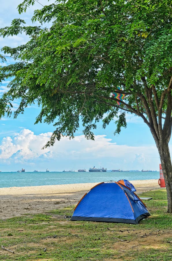 Tent under tree by sea stock image. Image of closeup - 21222917