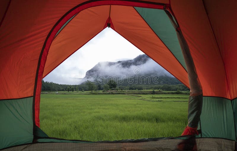 Window stock photo. Image of white, interior, home, metal - 27034436