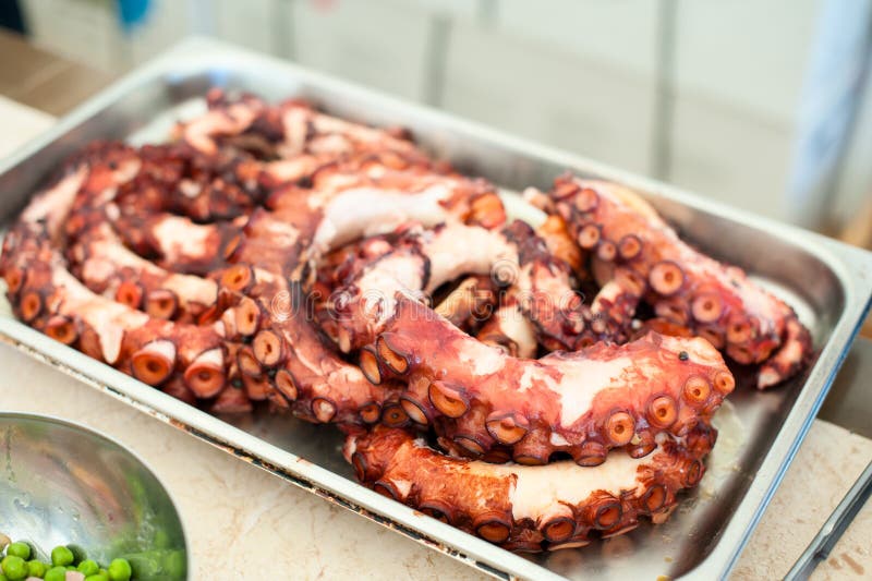 Tentacles of an Octopus on a Kitchen Tray Stock Image - Image of meat ...