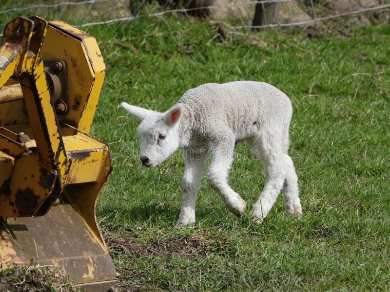 Patrick Gosling (Patrick57) - Photographer profile