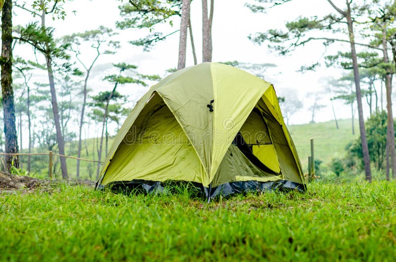 Tente image stock. Image of sunset, forrest, fond, camper - 55366575