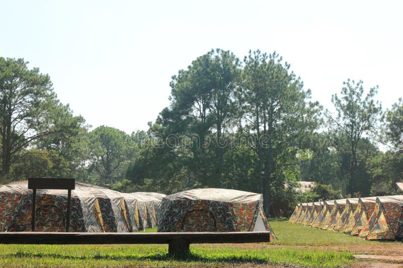 Tents Camping Area with Big Tree and Green Grass Stock Image - Image of ...