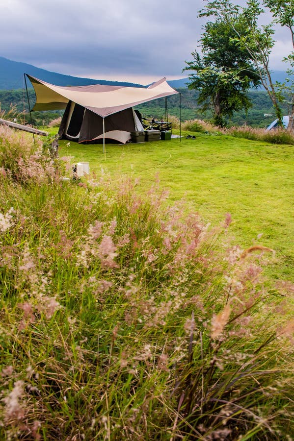 Tents Camping Area Natural Area with Green Grass Stock Photo - Image of ...