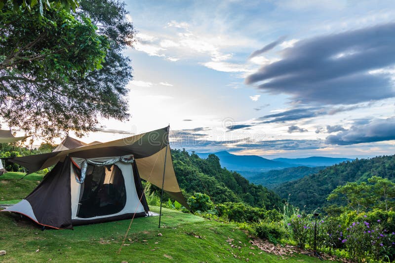 Tents Camping Area Natural Area with Green Grass Stock Image - Image of ...