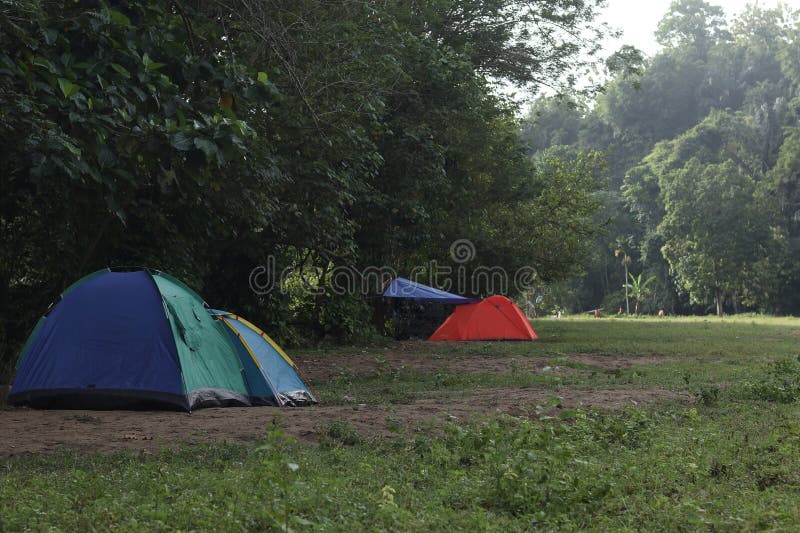 Tents in a Field with Trees in the Background Stock Photo - Image of ...