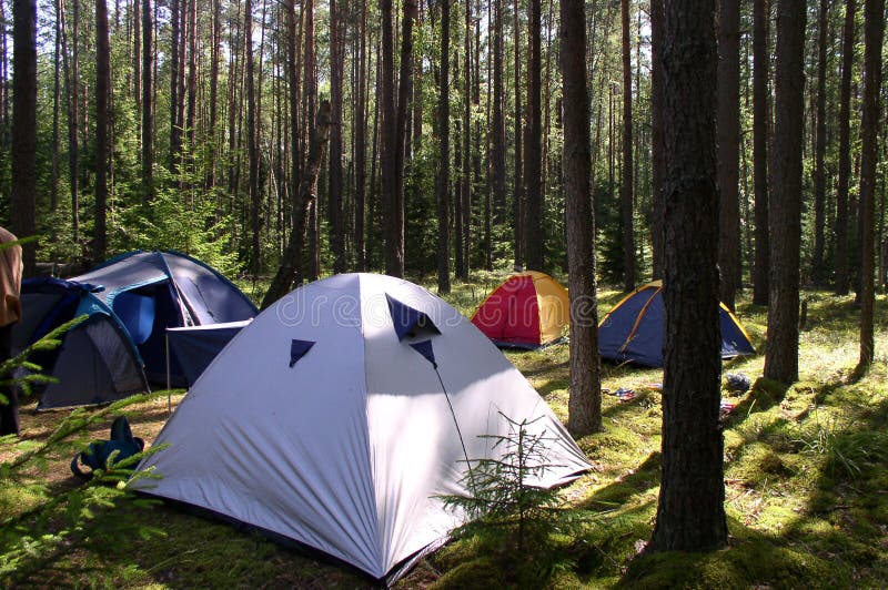 Tents in the Forest stock image. Image of vacation, holidays - 817405