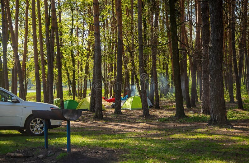 Tents in the Forest Rest. Selective Focus Stock Image - Image of forest ...