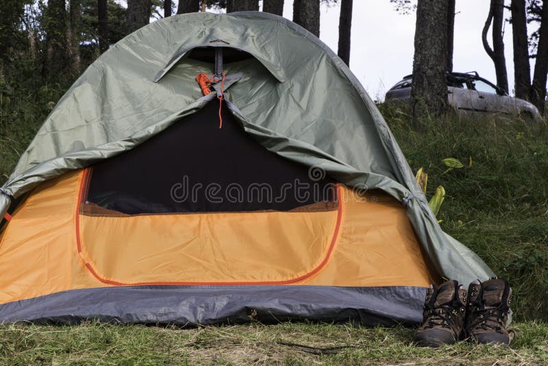 Tents in forest stock photo. Image of adventure, campsite - 45978066